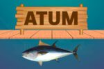 Atum peixe: tipos, alimentação, reprodução, habitat e receitas