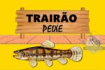 Trairão peixe: tipos, características, alimentação, habitat e receitas