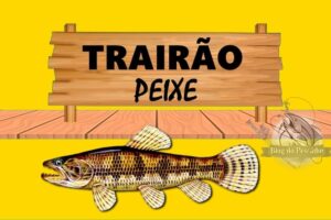 Trairão peixe: tipos, características, alimentação, habitat e receitas