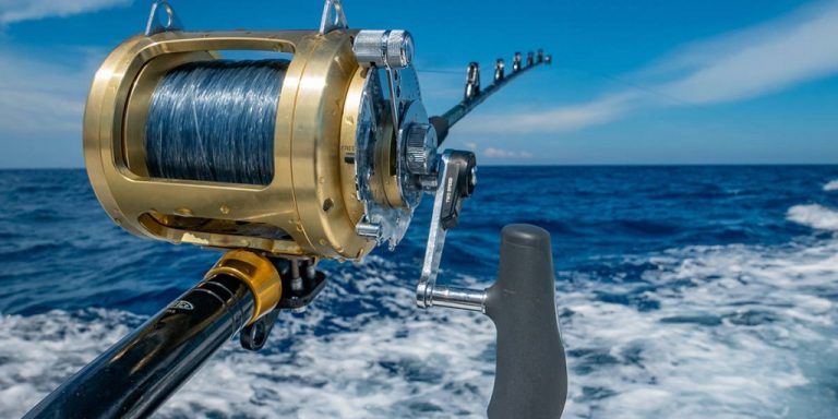 7 Equipamentos de pesca esportiva: o que precisa? e o que usar durante ...