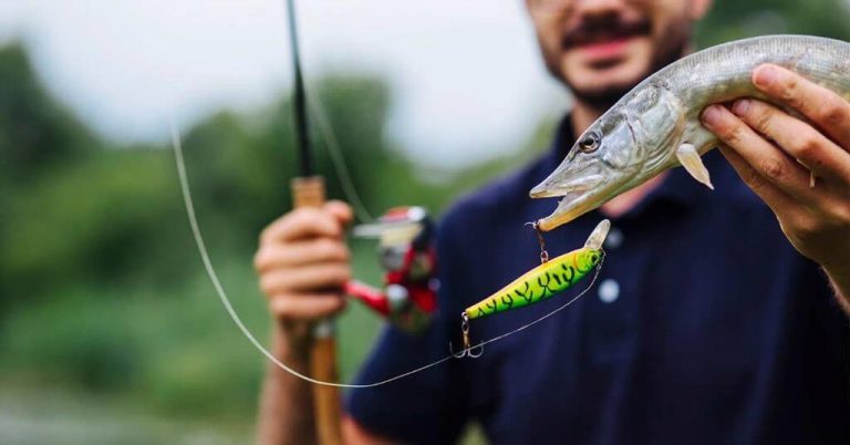 7 Equipamentos de pesca esportiva: o que precisa? e o que usar durante ...