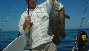 Prejereba peixe: características, reprodução, alimentação, habitat e ...