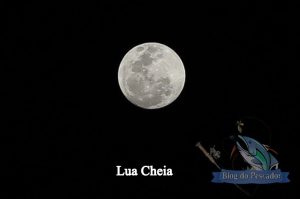 Lua para pesca de 2022: tipos de lua e por que influencia na pescaria ...