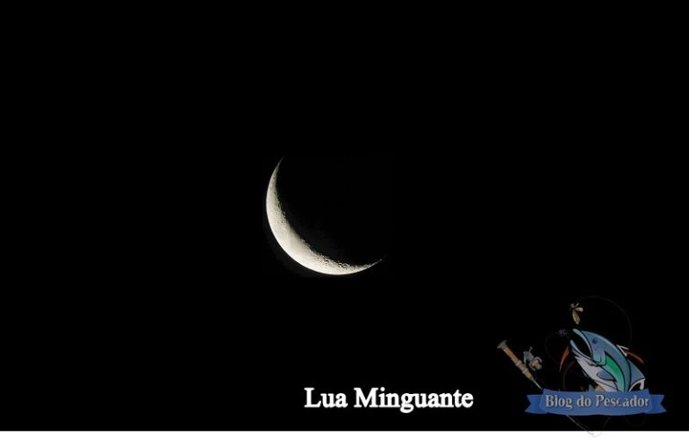 Lua para pesca de 2022: tipos de lua e por que influencia na pescaria ...