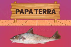 Papa-terra peixe: características, reprodução, alimentação ...