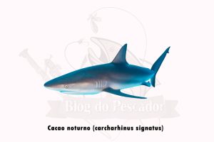 9 tipos de peixe ameaçados de extinção no brasil | Blog do Pescador