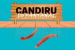 Candiru do pantanal peixe: características, reprodução, alimentação e ...
