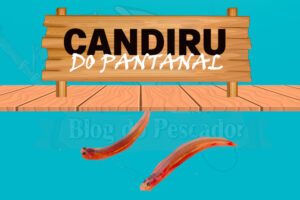 Candiru do pantanal peixe: características, reprodução, alimentação e ...