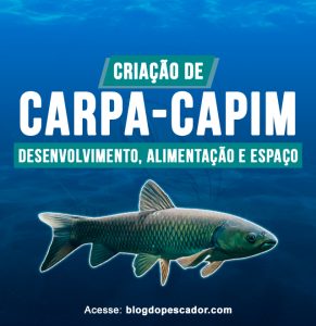 Criação de carpa-capim: local, espaço, alimentação, condições da água e ...