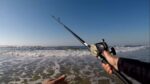 Iscas naturais para a pesca de papa terra: Top 6 iscas, onde pescar ...
