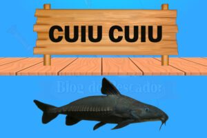 Cuiu Cuiu peixe: Características, habitat, alimentação e onde encontrar ...
